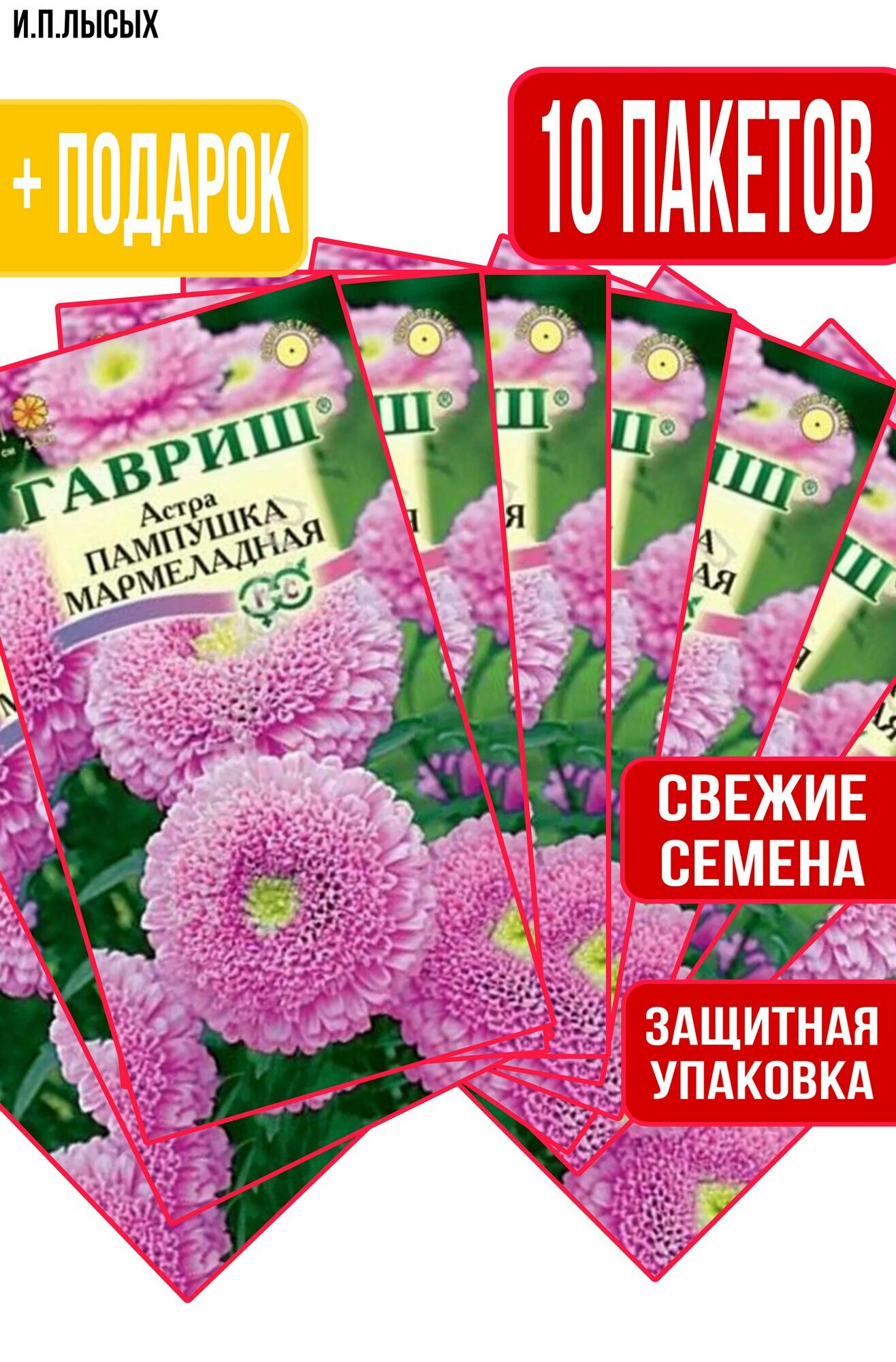 Семена Астра Пампушка Мармеладная