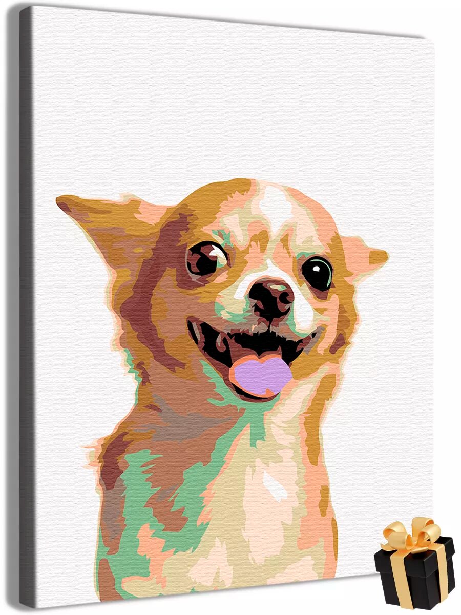 Собака Чихуа-хуа