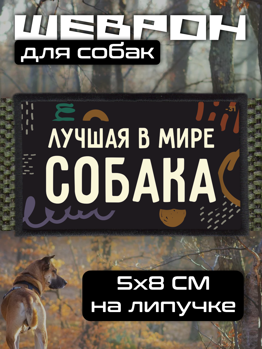 Шеврон на липучке для собак Лучшая в мире собака