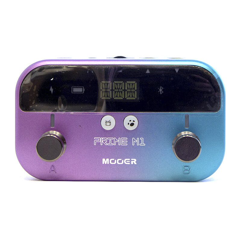 Mooer Prime Minimax M1