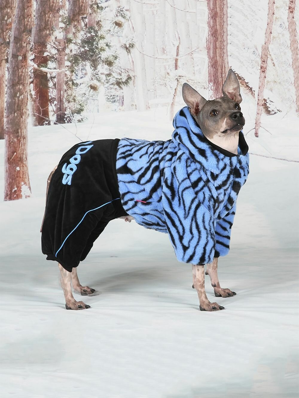 Утепленный комбинезон-шубка для собак мальчиков (мелкие и средние породы)