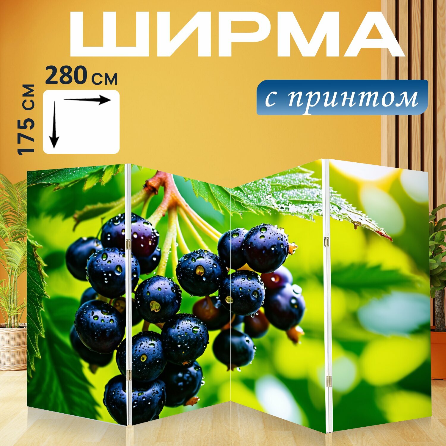 Ширма "Крупный план спелых черных смородин, покрытых капельками воды, на фоне зеленых листьев. Освещение." перегородка для зонирования комнаты с принтом 280x175 см. на холсте