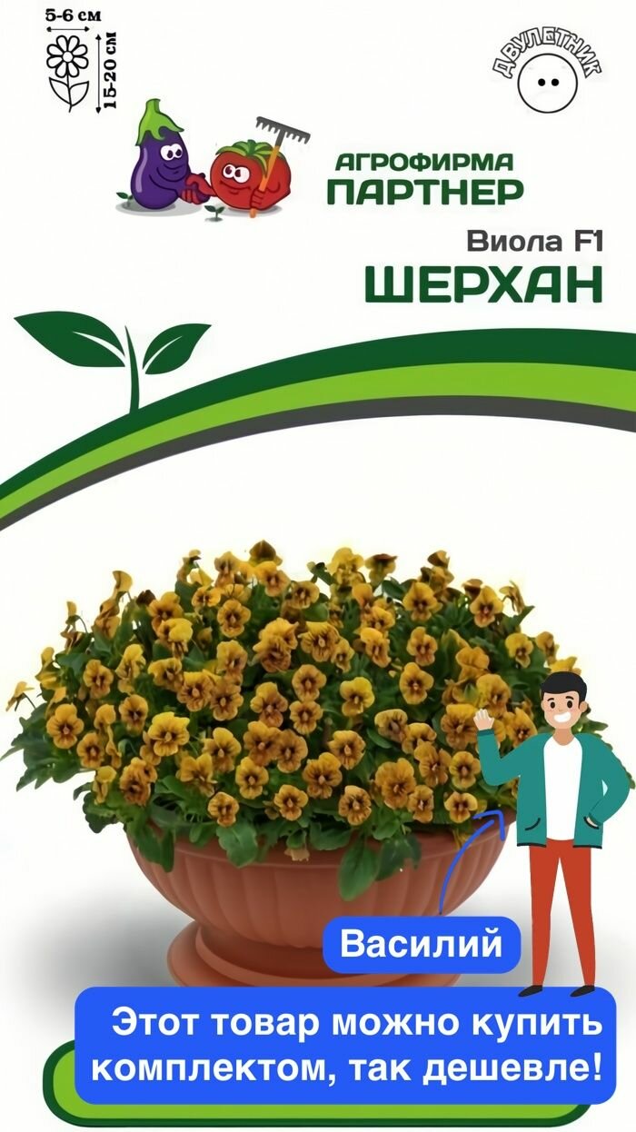 Виола Шерхан F1