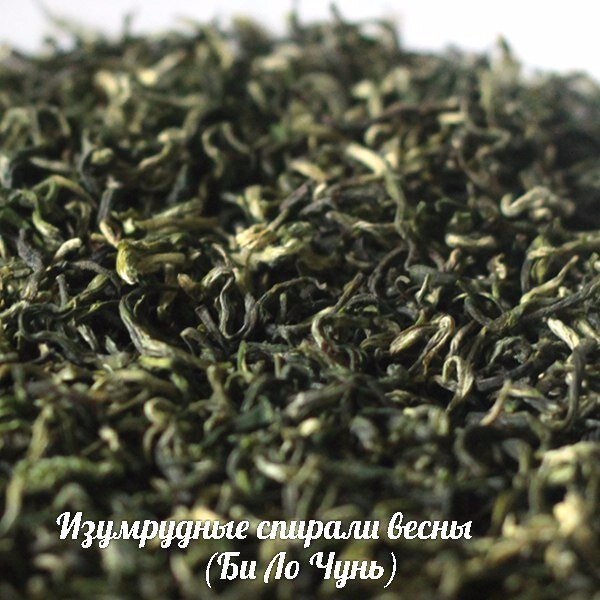 "Изумрудные спирали весны" Би Ло Чунь с гор ДунТин (пров. Цзяньсу, Сучжоу) 50 гр, ИП Ромакина Т. А.