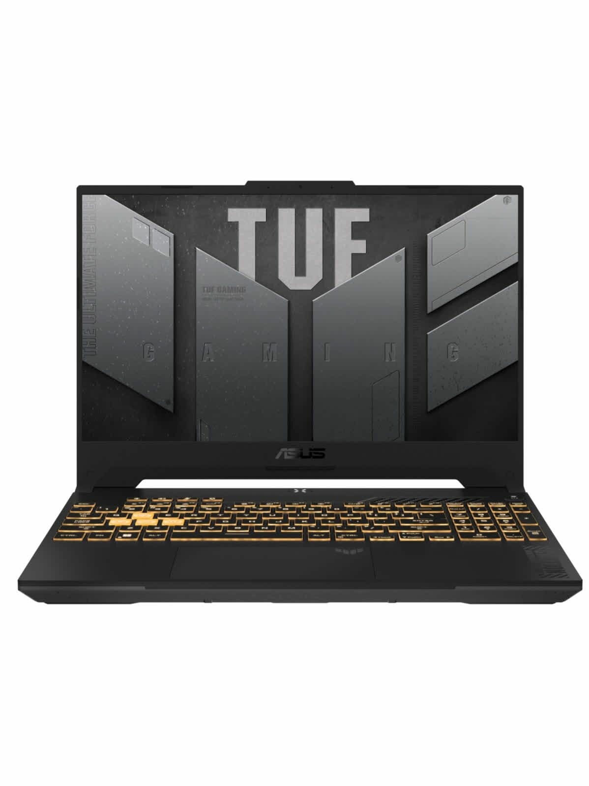 Ноутбук ASUS TUF Gaming F17 FX707VJB-HX100 серый (90NR0MY5-M003R0)