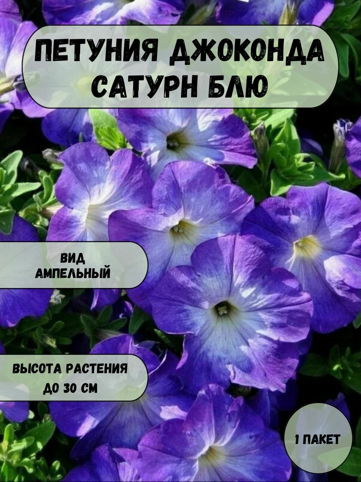 Петуния Джоконда Сатурн Блю семена 10 шт