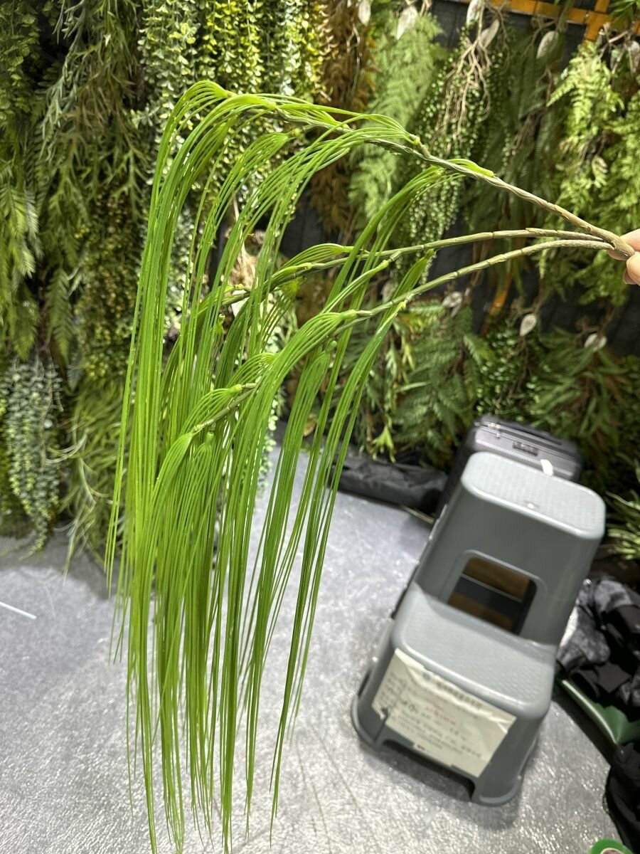 Искусственные цветы для декораторов фитостен флористическая ветка ампельная зеленая