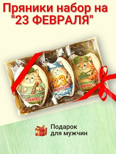 Пряники набор на 23 февраля для мужчин fit_fruit74, имбирные медовые в подарочной коробке.