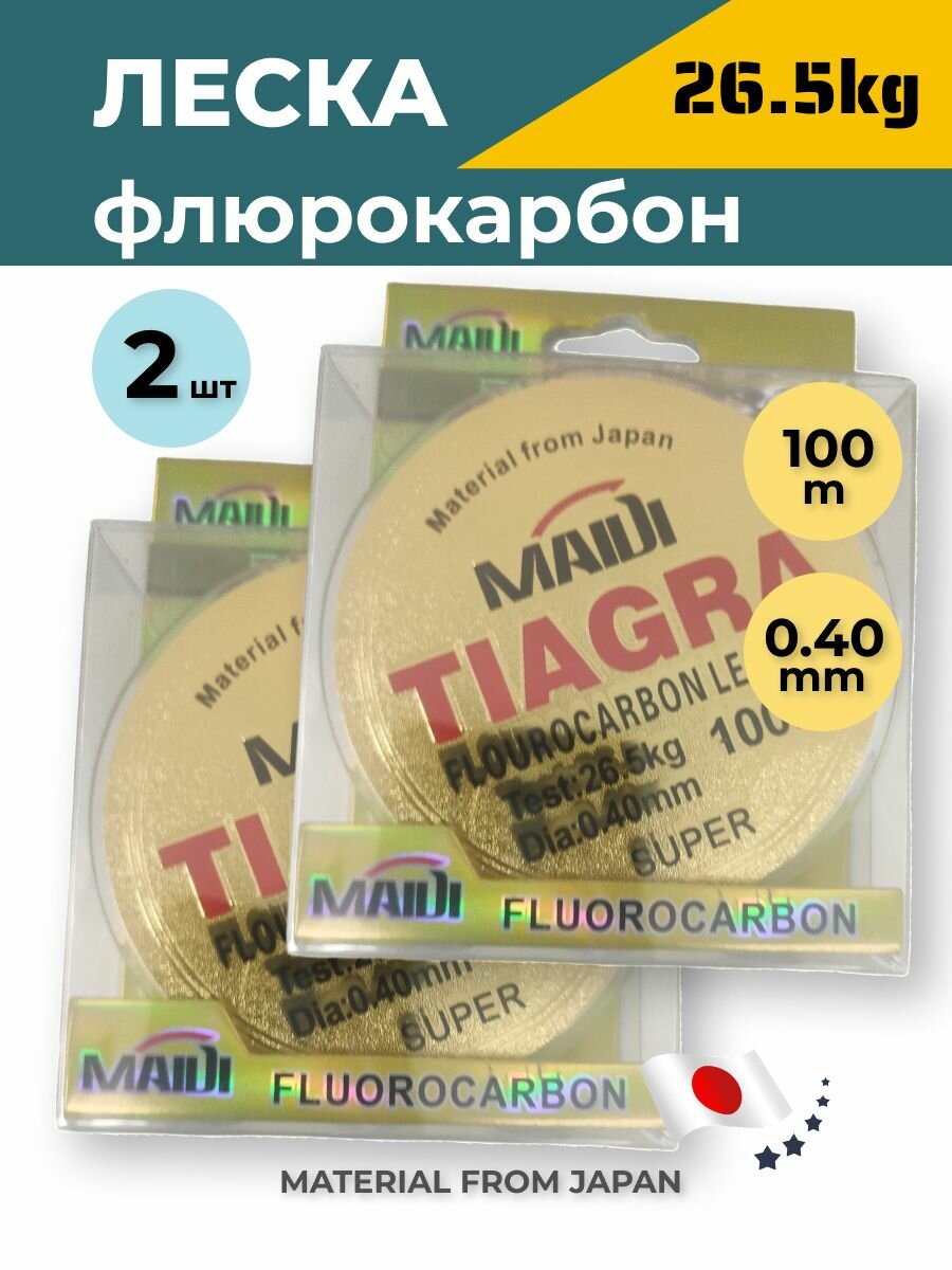 Леска рыболовная флюрокарбон 100 м, 2 шт