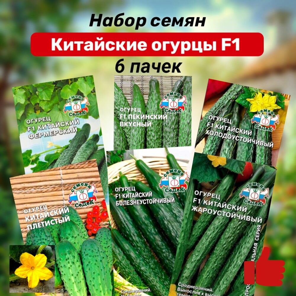 Китайские огурцы. Набор семян 6 сортов. Агрофирма "СеДеК"