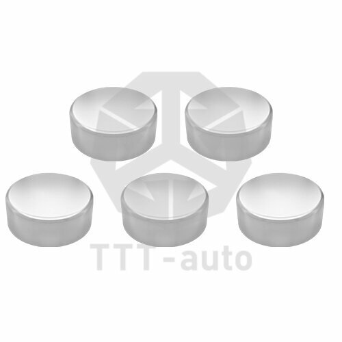 Р/к суппорта заглушка d=40*14.5 к-т 5шт. Knorr SN6/SN7/SK7 15715 (TTT)