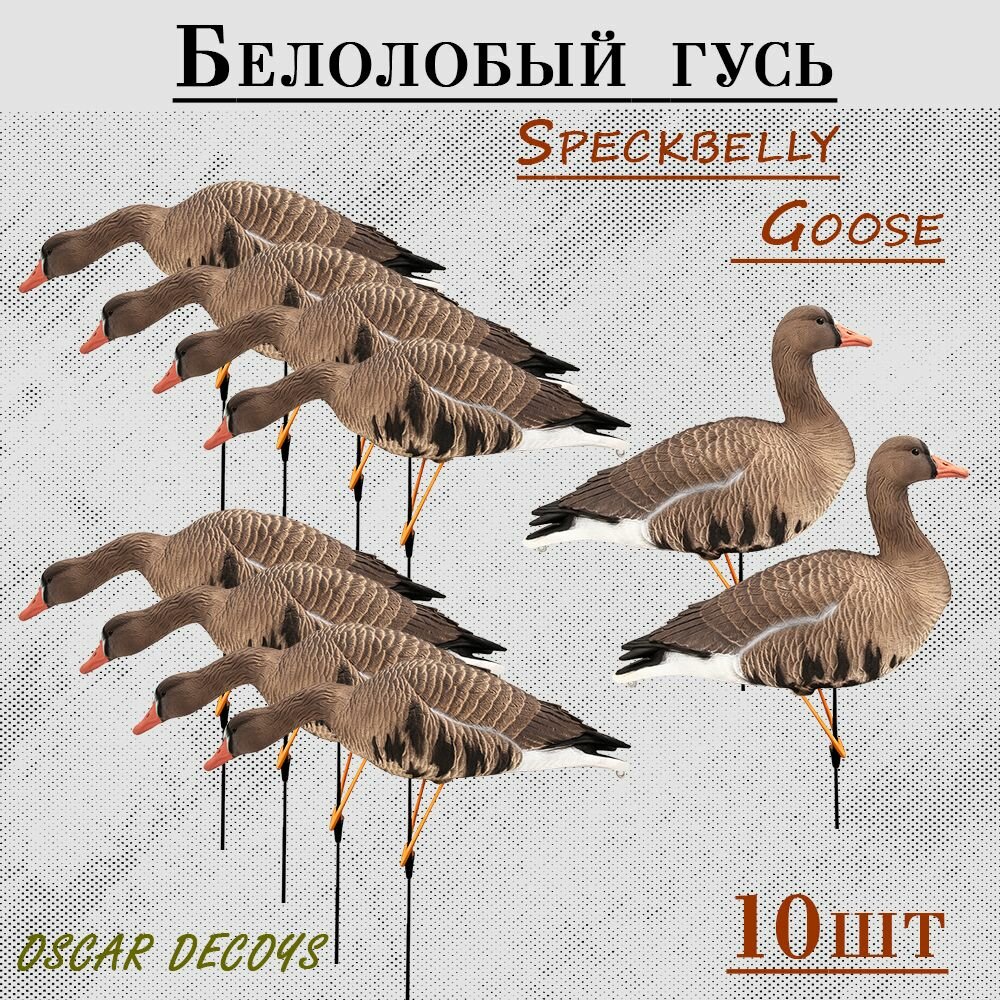 Чучела гусей для охоты белолобый гусь Speckbelly Goose Magnum, мягкий пластик, комплект 10 шт (8+2)
