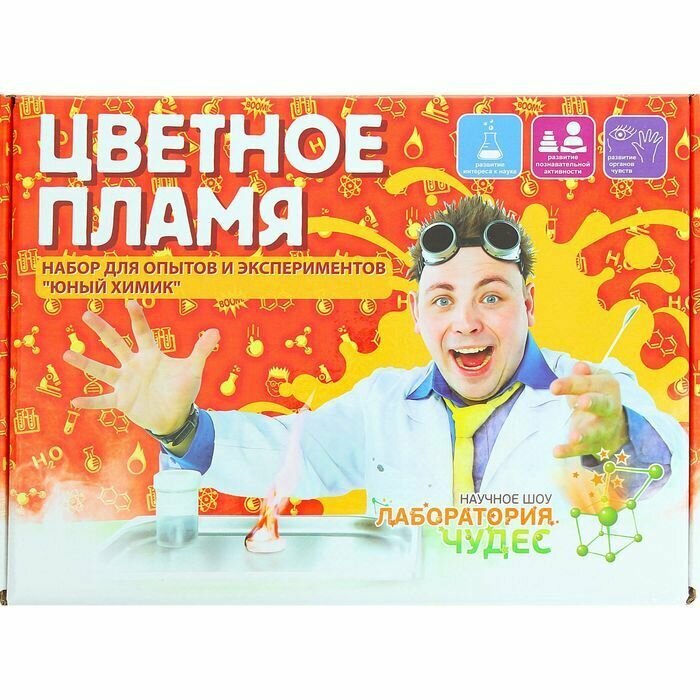 Набор для опытов и экспериментов БрикНик "Юный химик" Цветное пламя (504)