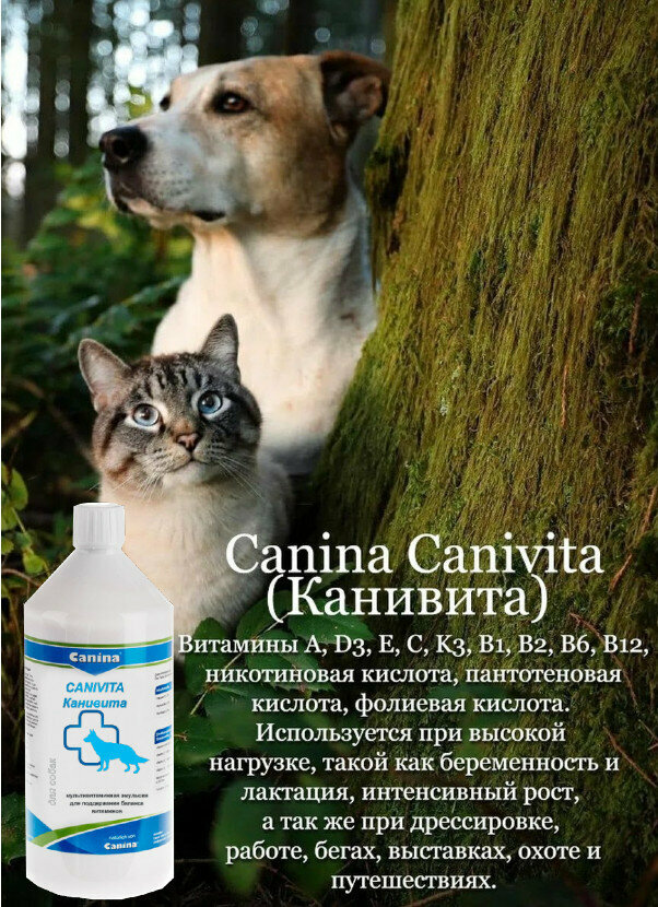 Кормовая добавка Canina Canivita, мультивитаминная эмульсия, для собак, 1000 мл