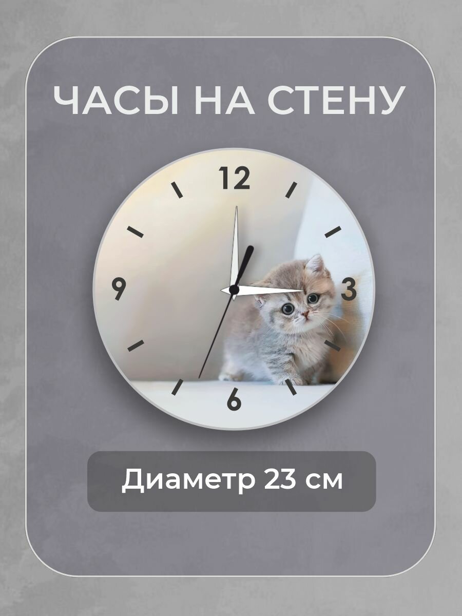 Часы настенные интерьерные бесшумные Котенок на кухню