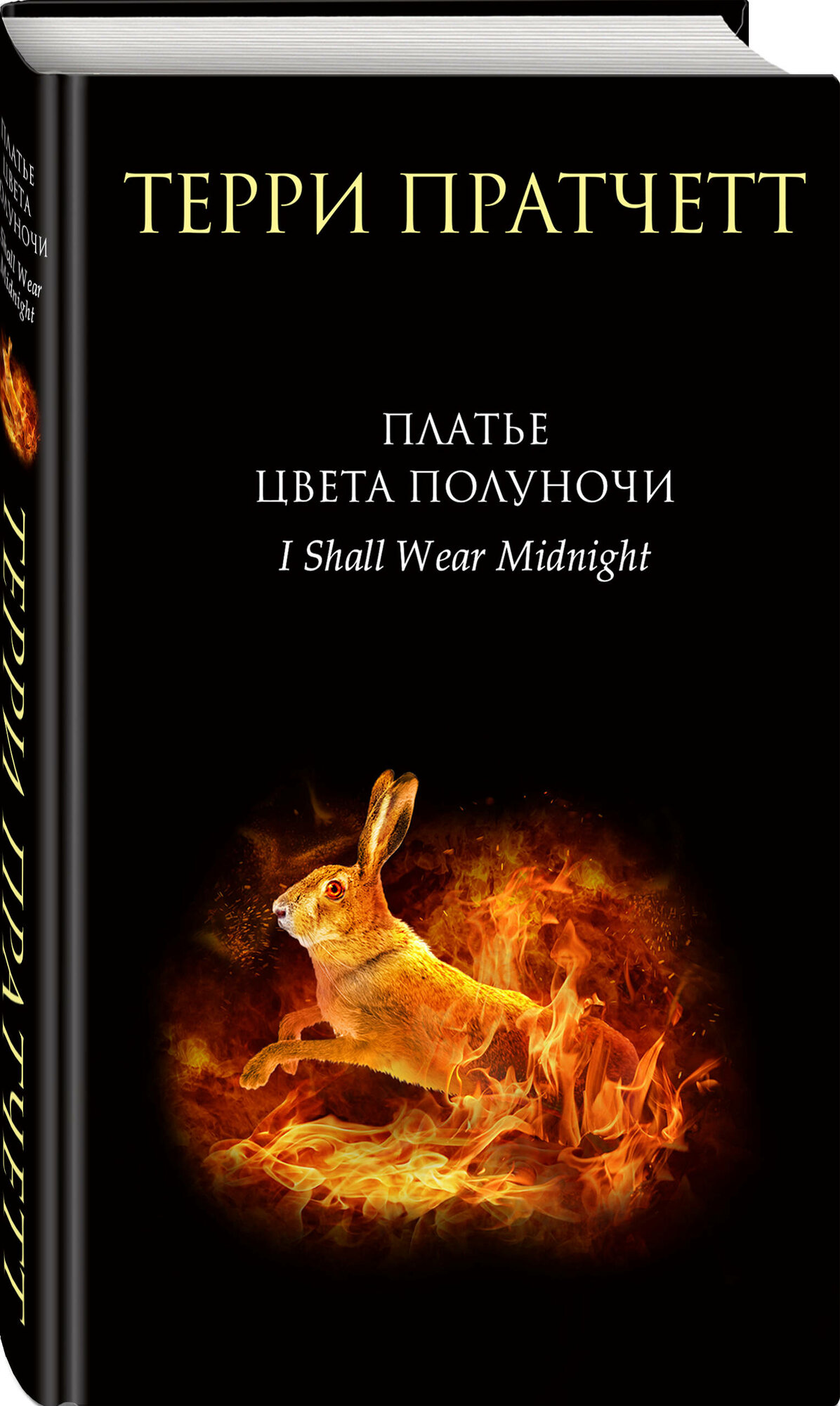 Пратчетт Т. Платье цвета полуночи