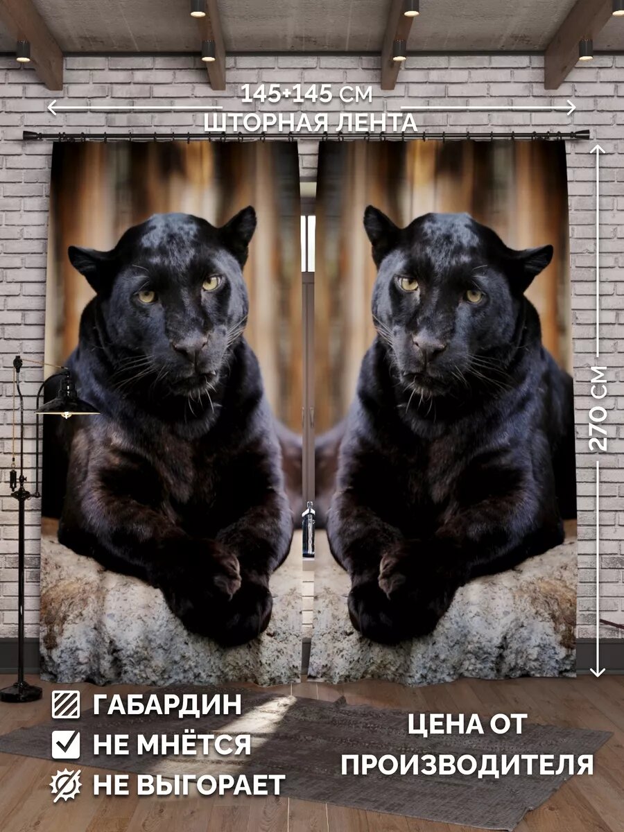 Шторы Фотошторы Chernogorov Home, крепление на петлях, полупрозрачные, 145x270 см, 2 шт с рисунком