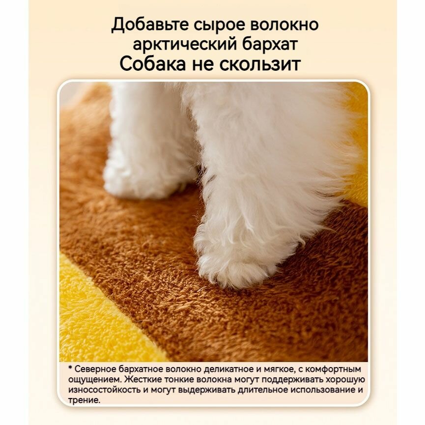 Лестница для животных, Лестница для собак мелких пород