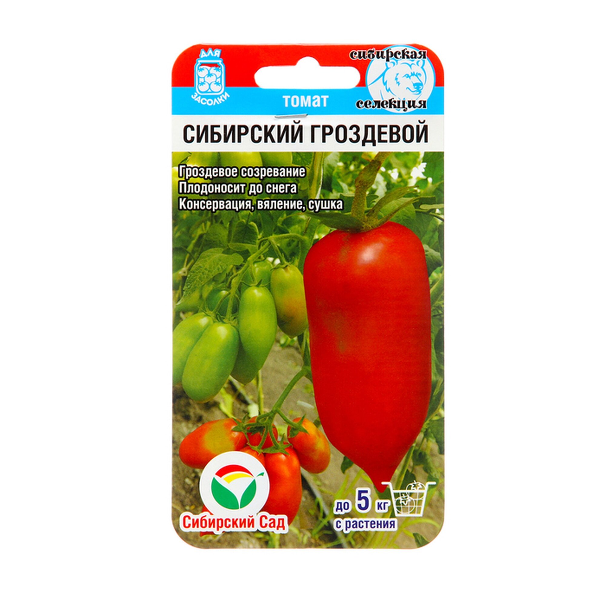 Семена томата "Сибирский гроздевой" Сибирский Сад, среднеспелые, 20 штук