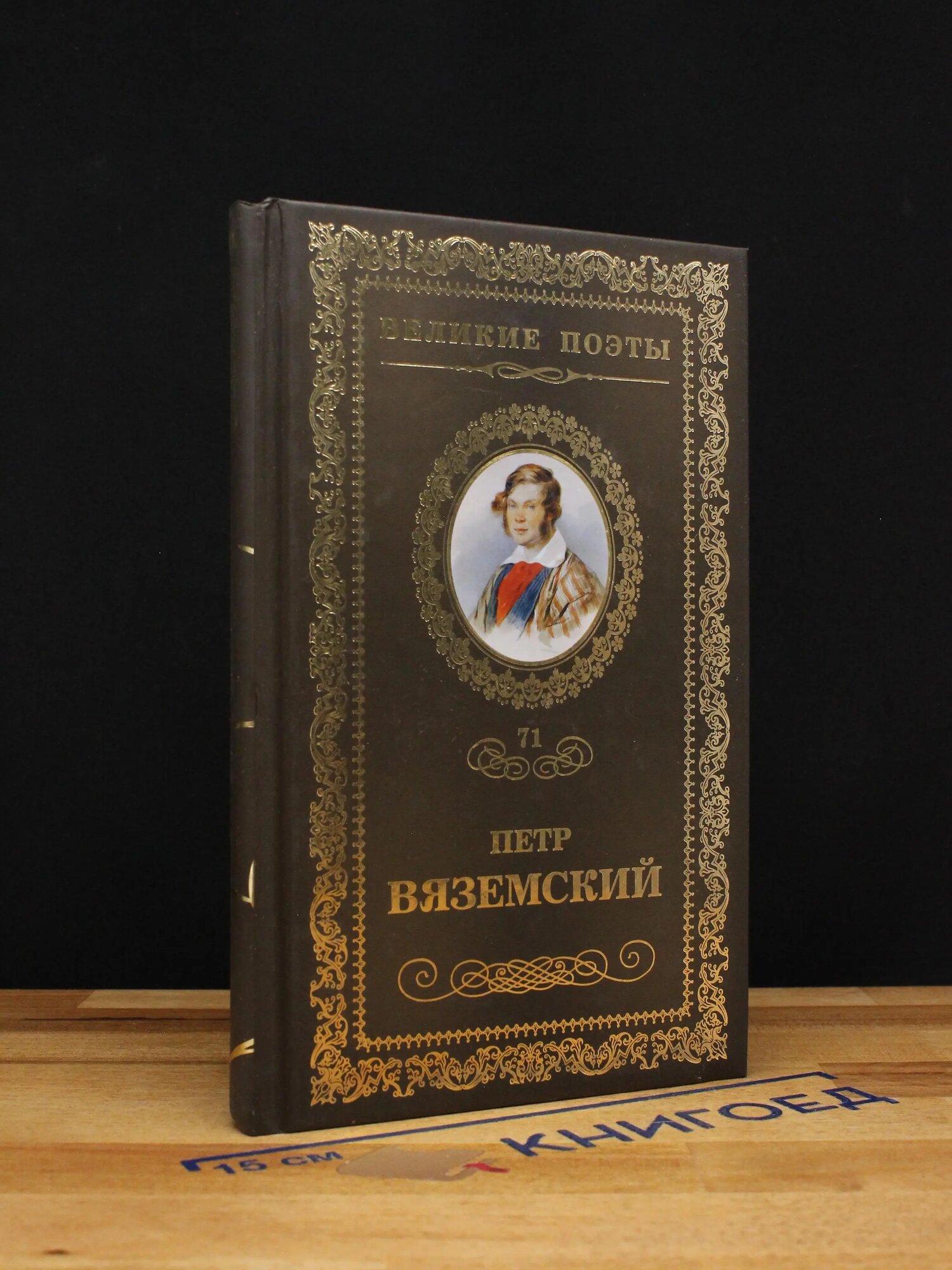 Книга. Великие поэты. Том 71. Вяземский П. Любить. Молиться. Петь 2013 (2046513532377)