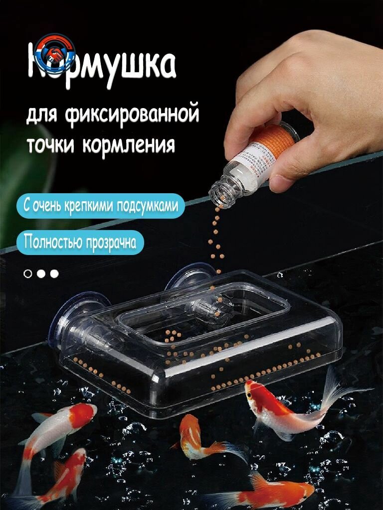 Аксессуары для аквариума и террариума, декоративные и функциональные элементы, оборудование для ухода за рыбками и рептилиями, практичные принадлежности для комфортного содержания питомцев