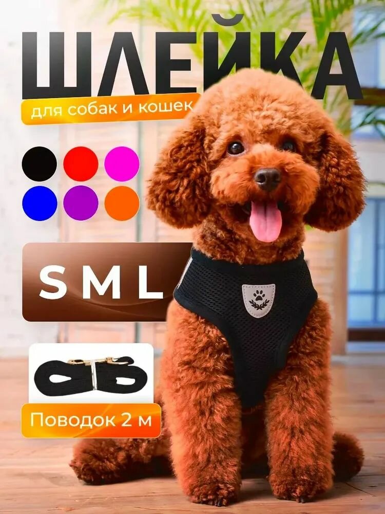 Шлейка для собак и кошек с поводком для всех типов пород