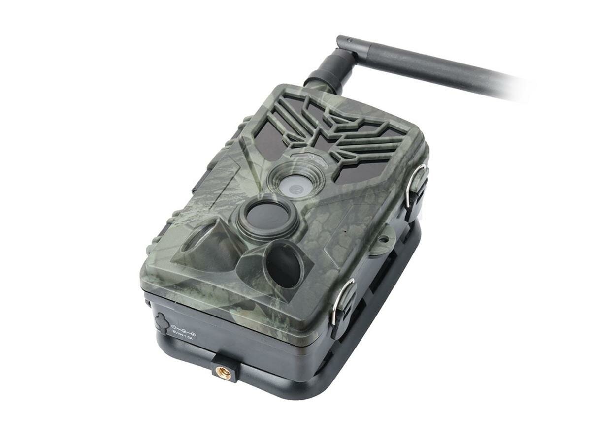 Фотоловушка Филин HC 810G-4G NEW! (оригинал с голограммой) - gsm фото ловушка, фотоловушка для охоты, mms фотоловушка, фото ловушка 200