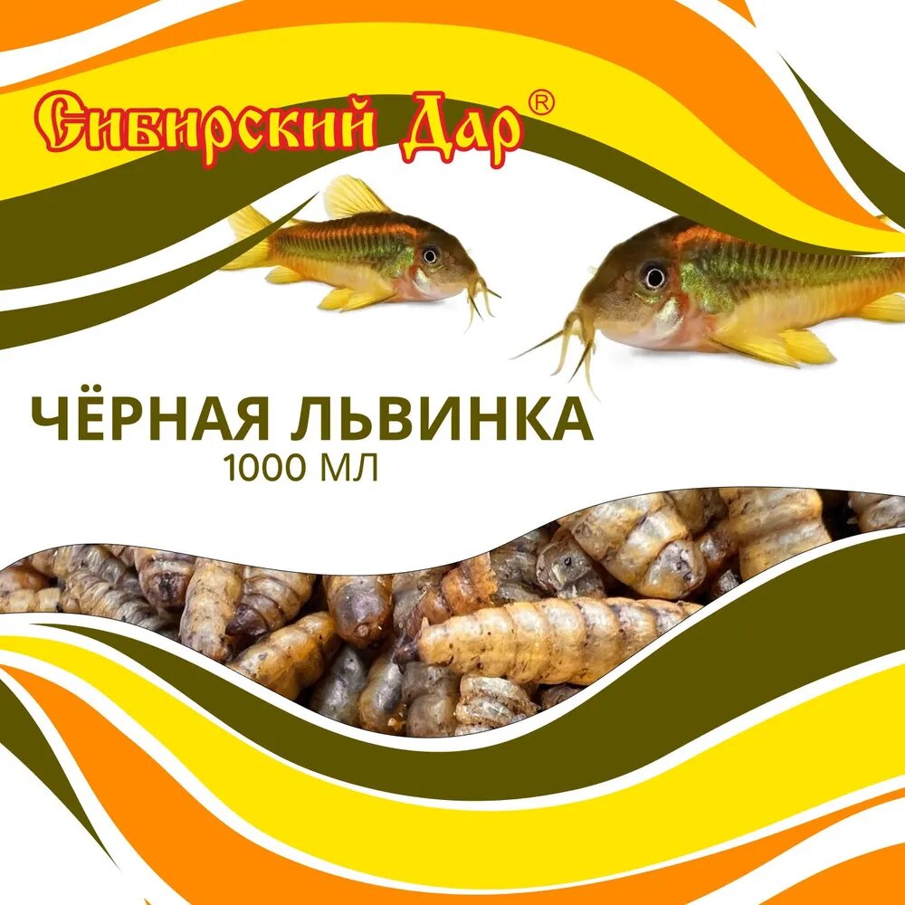 Корм для рыб "Сибирский дар" - черная львинка, 1000 мл - для рыб всех размеров и возрастов