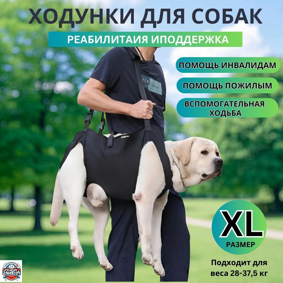 Ходунки для собак XL с поддержкой задних лап — помощь в реабилитации и комфорт для пожилых травмированных питомцев