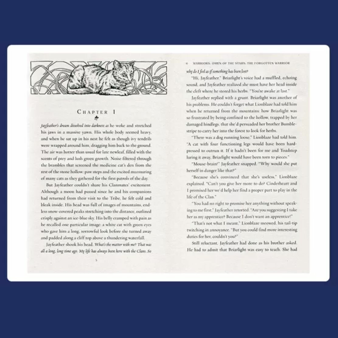 Печатная книга — фото 1