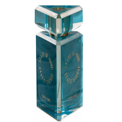 Парфюмерная вода State of Mind Open Mind 100 мл.