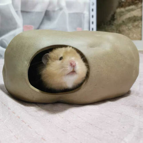 Летние хомяки охлаждают каменные домики маленькие приюты для домашних животных морские свинки спящие норы драконы керамические клетки для крыс