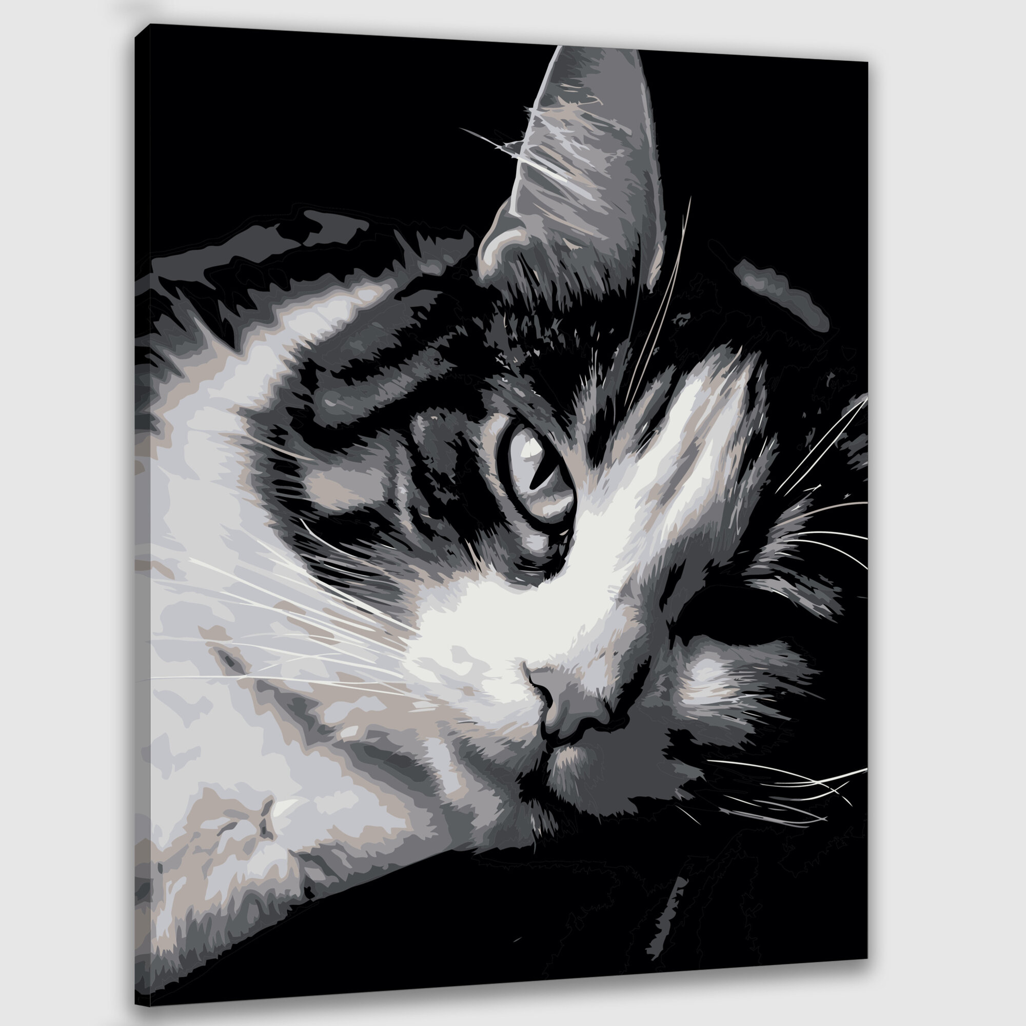 Картина по номерам 40x50 см, черно-белая фотография, мурлыкающий кот, высокое разрешение, полузакрытые глаза, тени