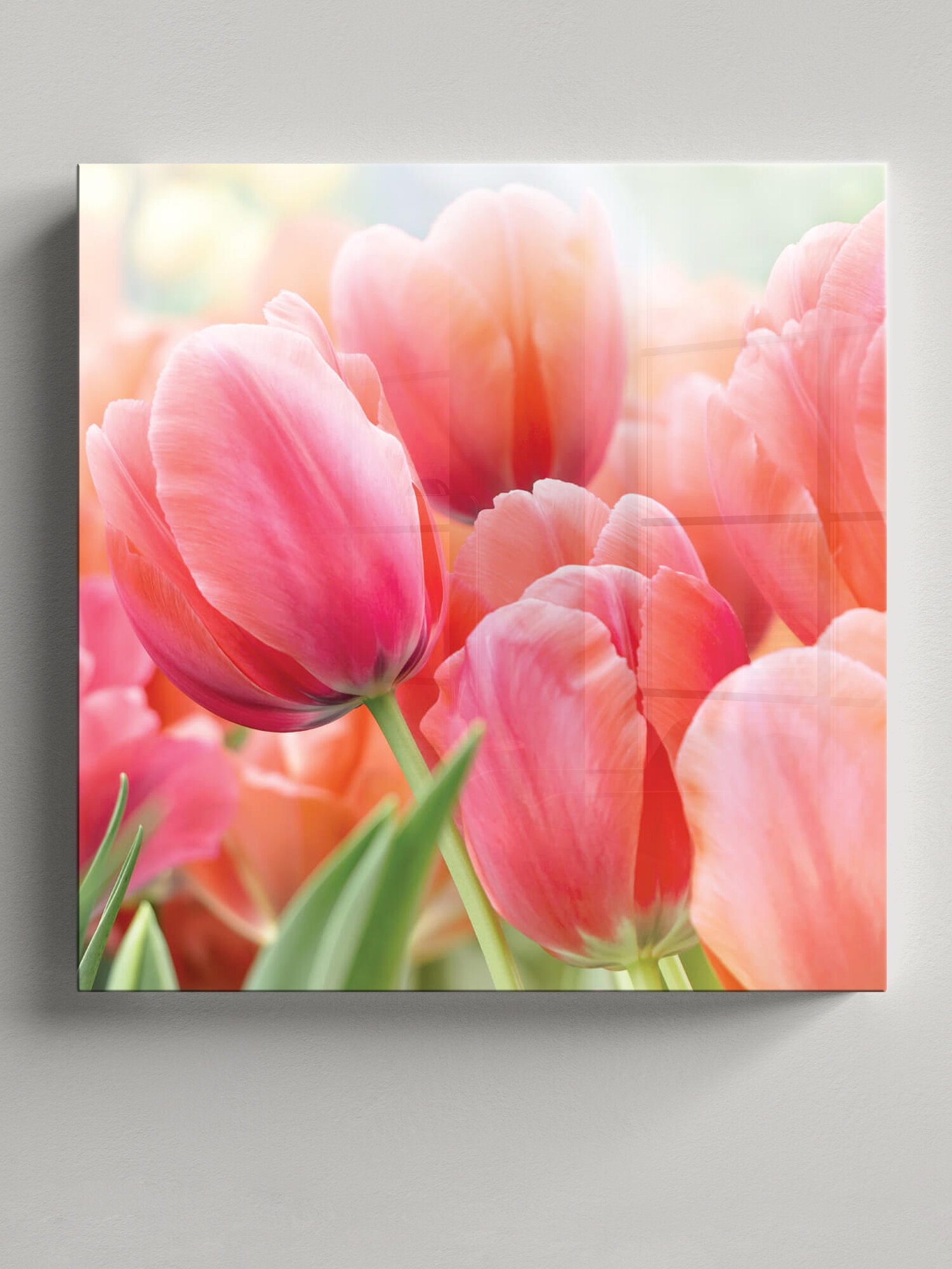 Картина Postermarket "Тюльпаны" на стекле, цифровая печать, 30x30 см