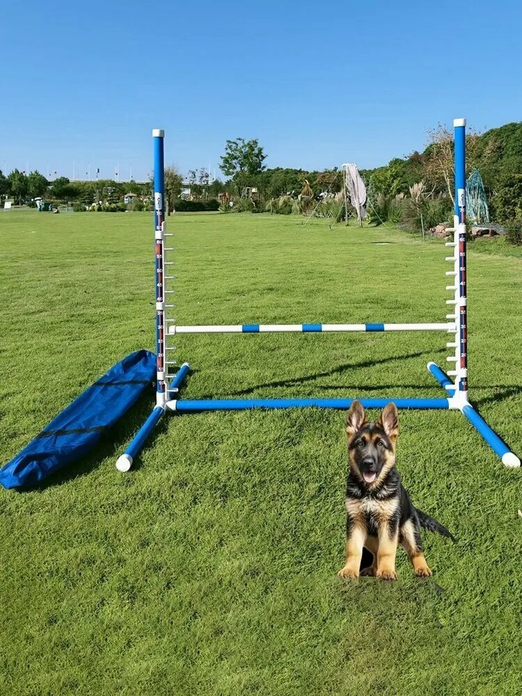 Набор для аджилити "Барьер" для собак, для дрессировки, ПВХ, 100x100х100см