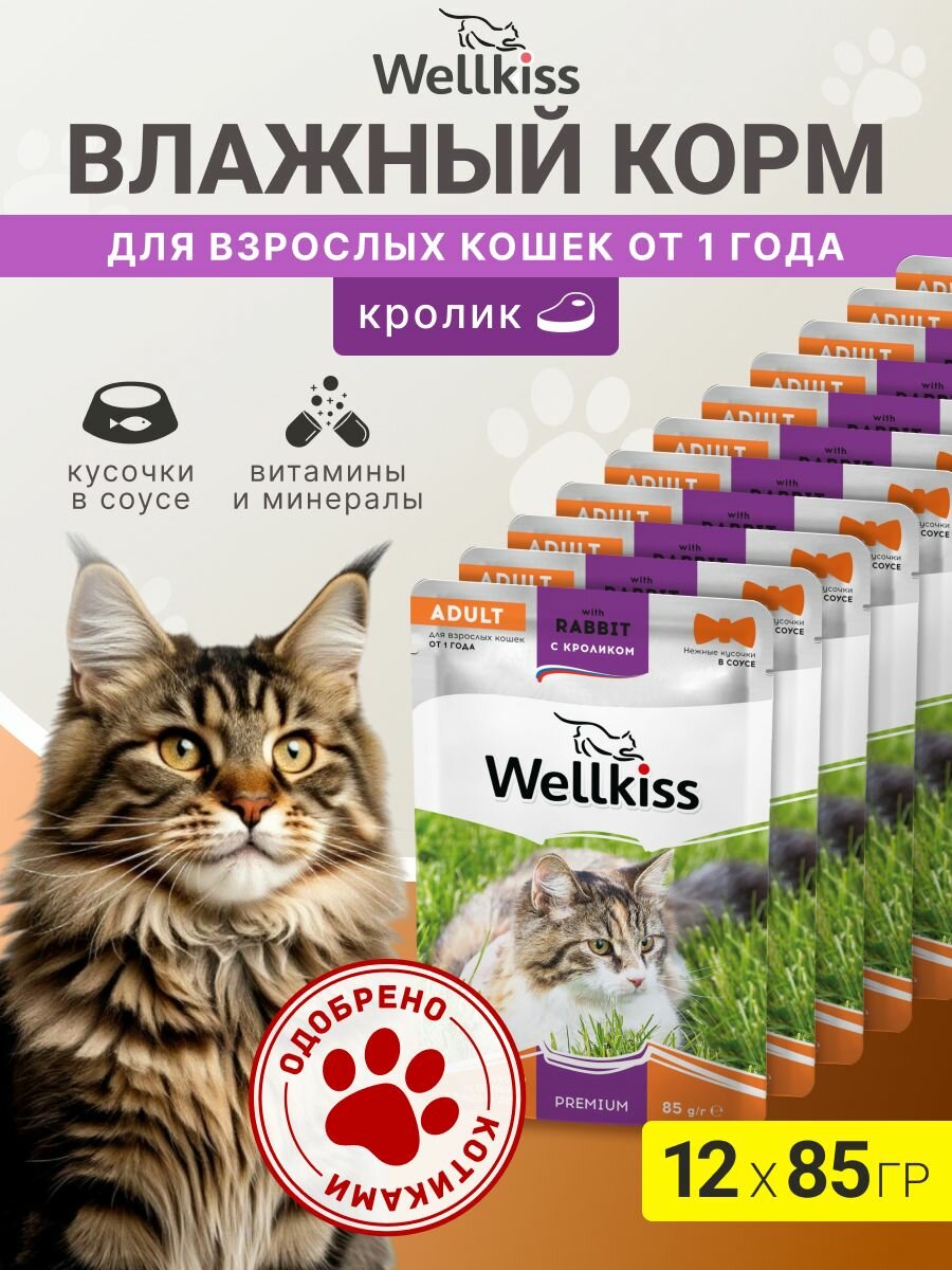 Wellkiss Adult Влажный корм (пауч) для взрослых кошек, с кроликом в соусе, 85 гр. * 12 шт.