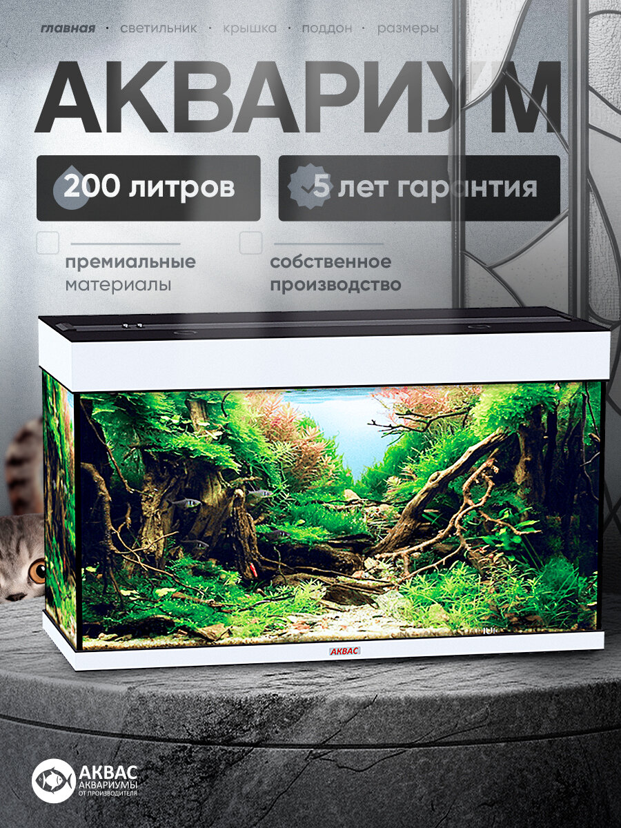 Аквариум 200 литров с крышкой и освещением, (101*41*57 см) Аквас