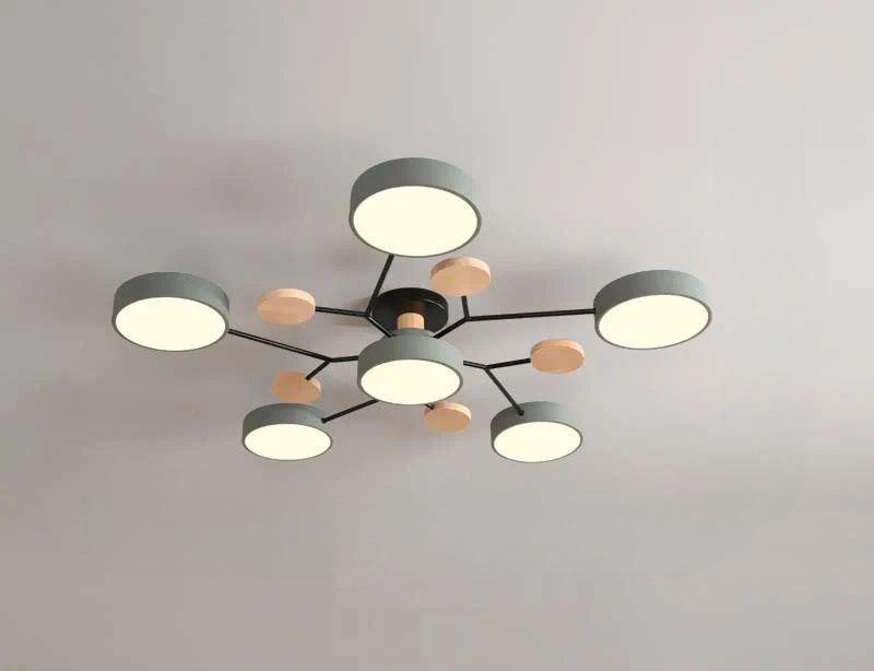 Люстра потолочная светодиодная в скандинавском стиле, 5 + 1 шайба, 15-20 ㎡, 48W, Зеленый, теплый белый