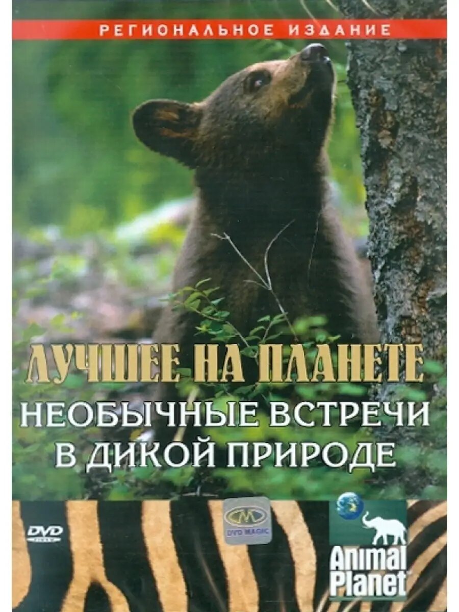 Discovery. Лучшее на планете: Необычные встречи в дикой природе. Региональная версия DVD-video (DVD-box)
