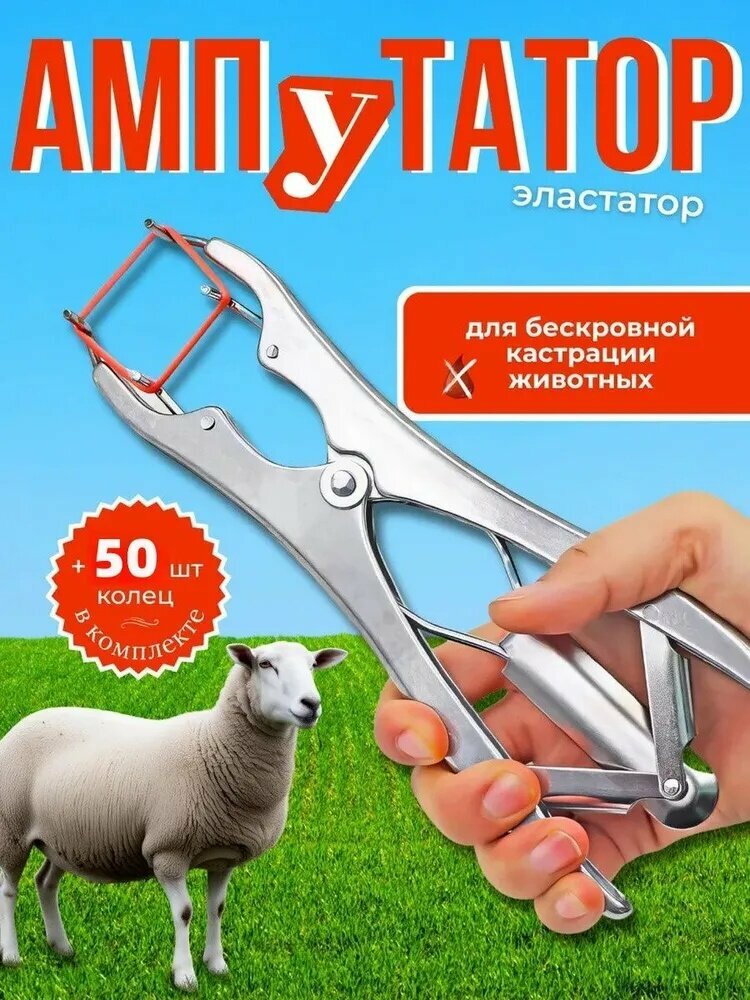 Эластратор для кастрации ягнят, овец, козлят и др. животных (щипцы кастрационные, ручки и подвижные элементы из металла) + 50 резинок