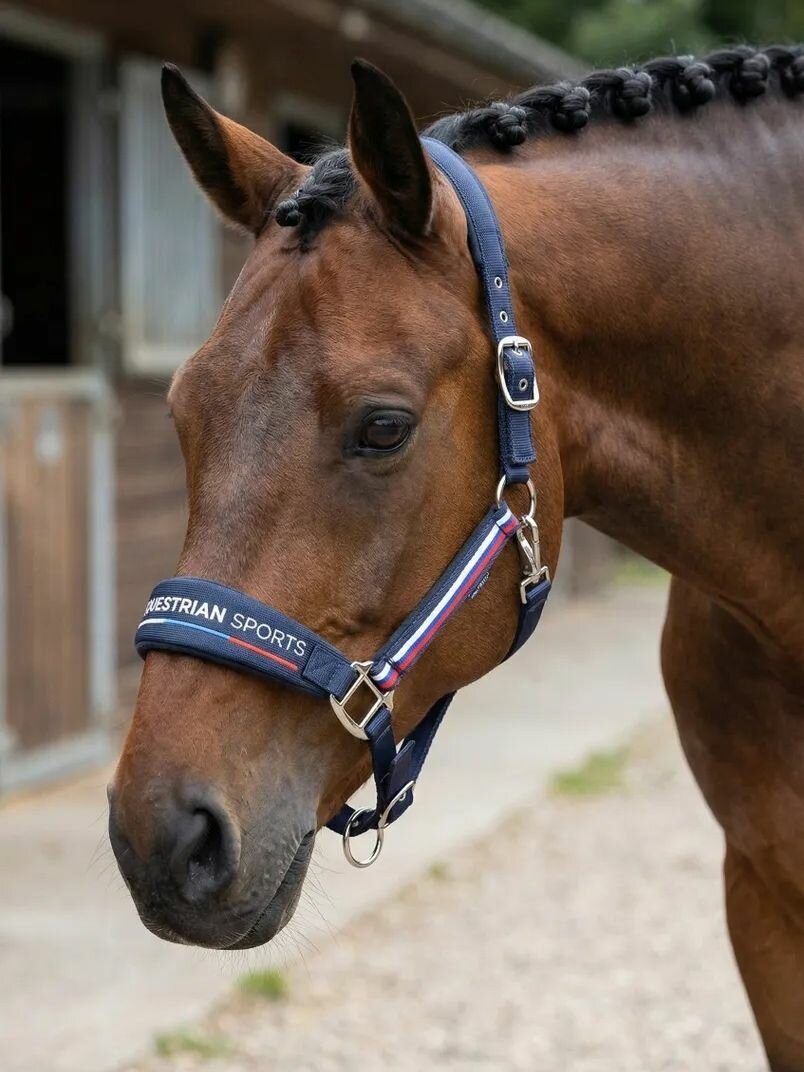 Недоуздок на флисовых подложках турнирный Equestrian Sports (размер XFull)