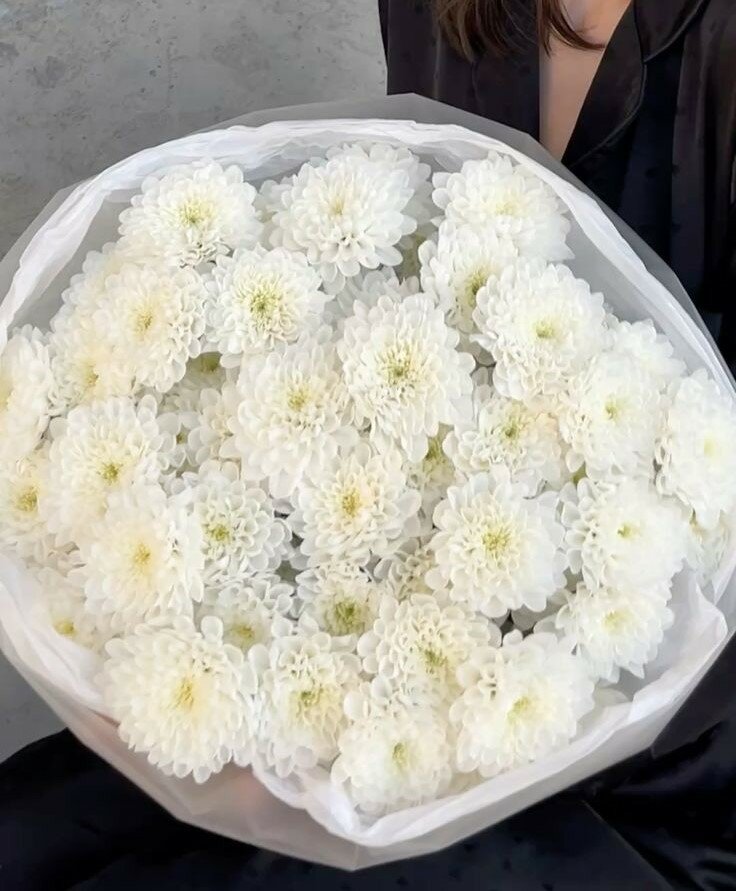 Букет из кустовой белой хризантемы Алтай, высота 65 см, 7 шт, ArgFlowes, размер М