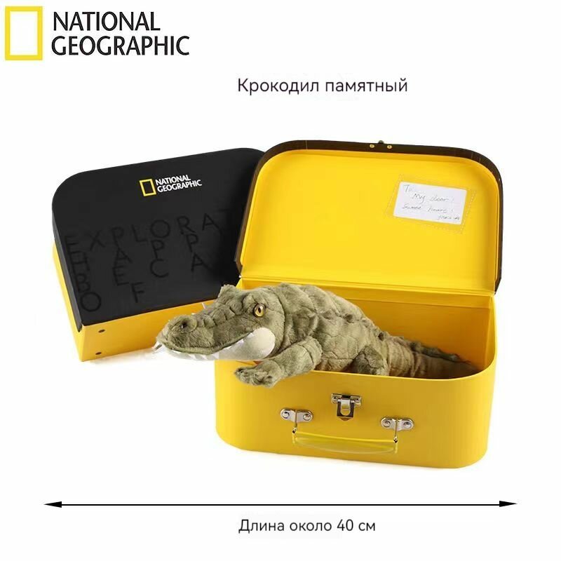 National Geographic/Подарочная коробка на 30-летие крокодила, детские развивающие игрушки
