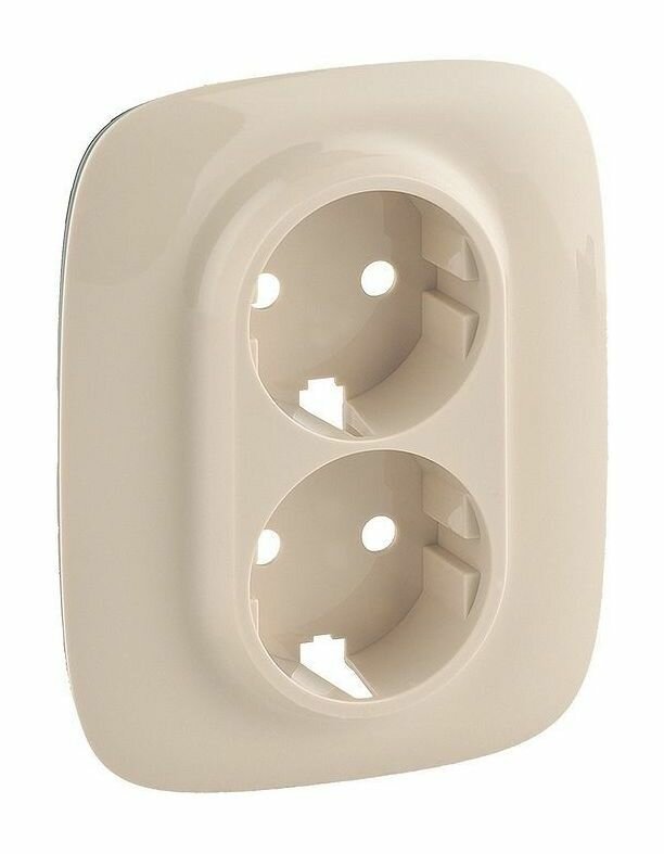 Накладка на розетку Legrand VALENA ALLURE, белый, с заземлением 754956