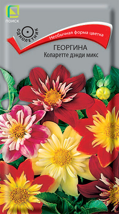 Георгина Коларетте дэнди микс 0,2г 50см (Поиск)