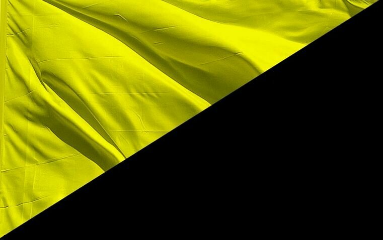 Флаг анархо-капитализма без изображений, 70х105 см на сетке