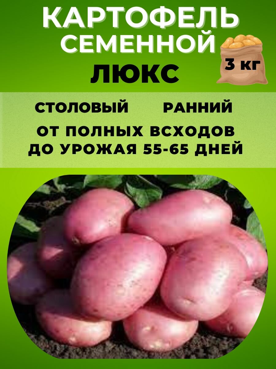 Картофель семенной Люкс 3 кг