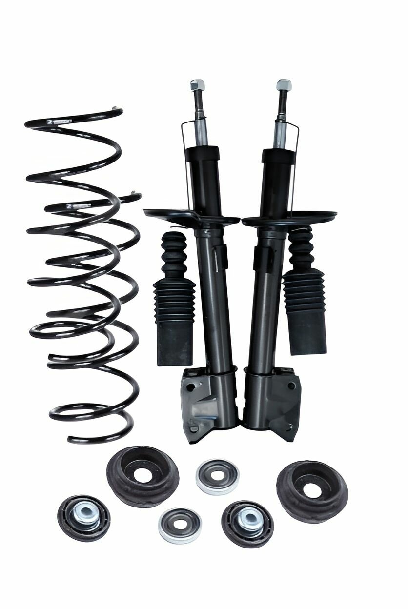 Комплект задней подвески пружины + амортизаторы на все полноприводные Renault Duster / Cartur / Nissan Terrano 2014- 4WD