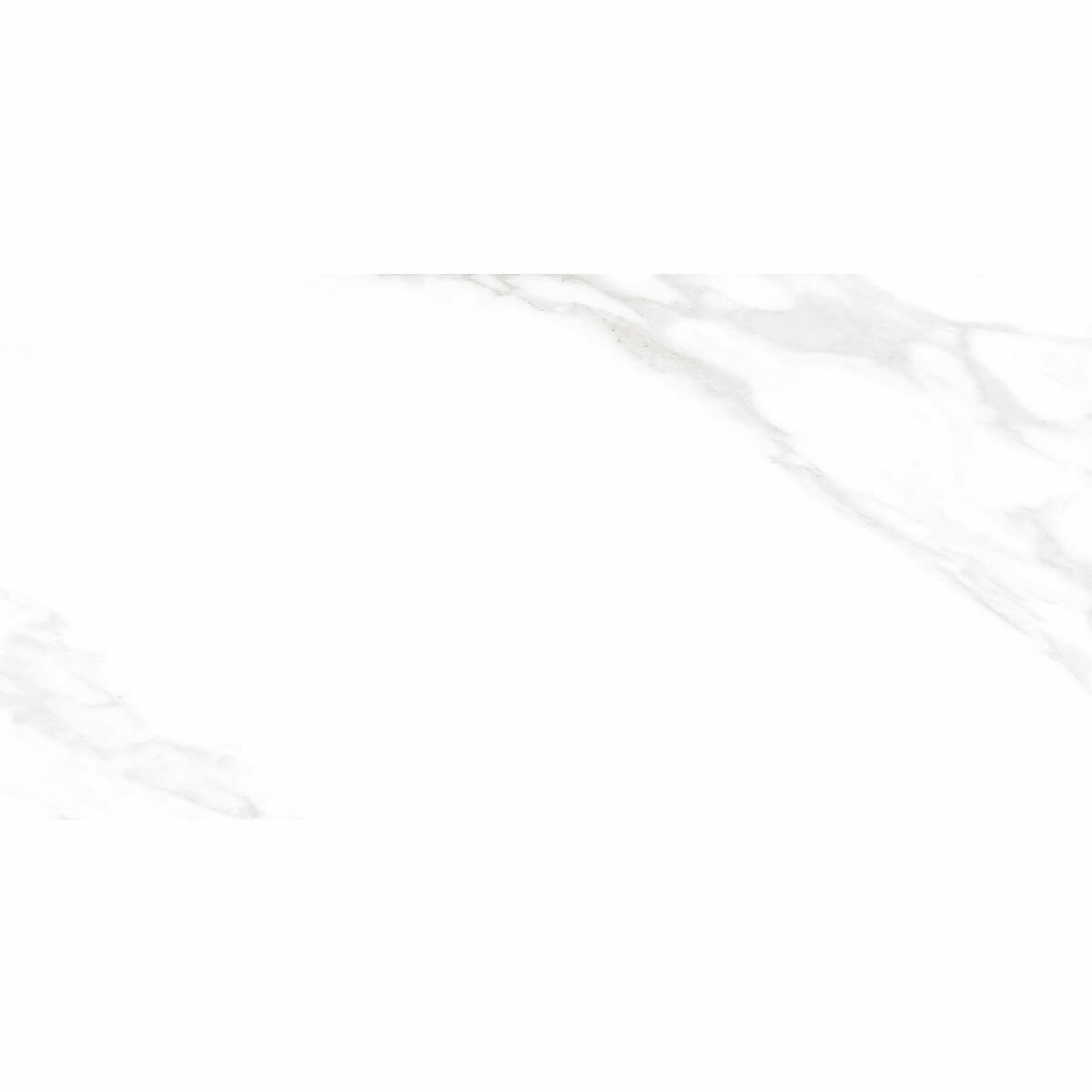 Керамогранит Ceradim (Керадим) Carrara Excellent Silver белый 60х120 см матовый