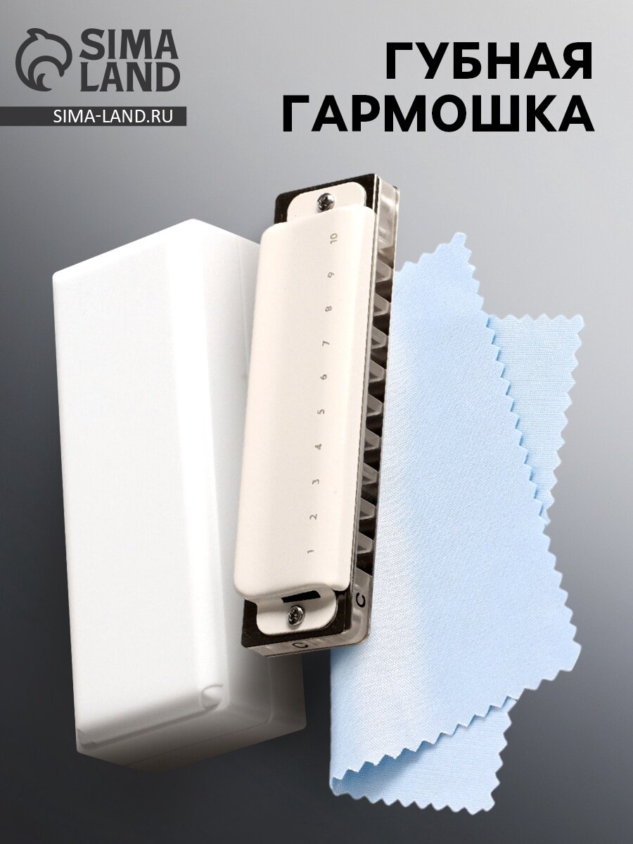 Губная гармошка Music Life T008L C диатоническая, 10 отверстий, с футляром